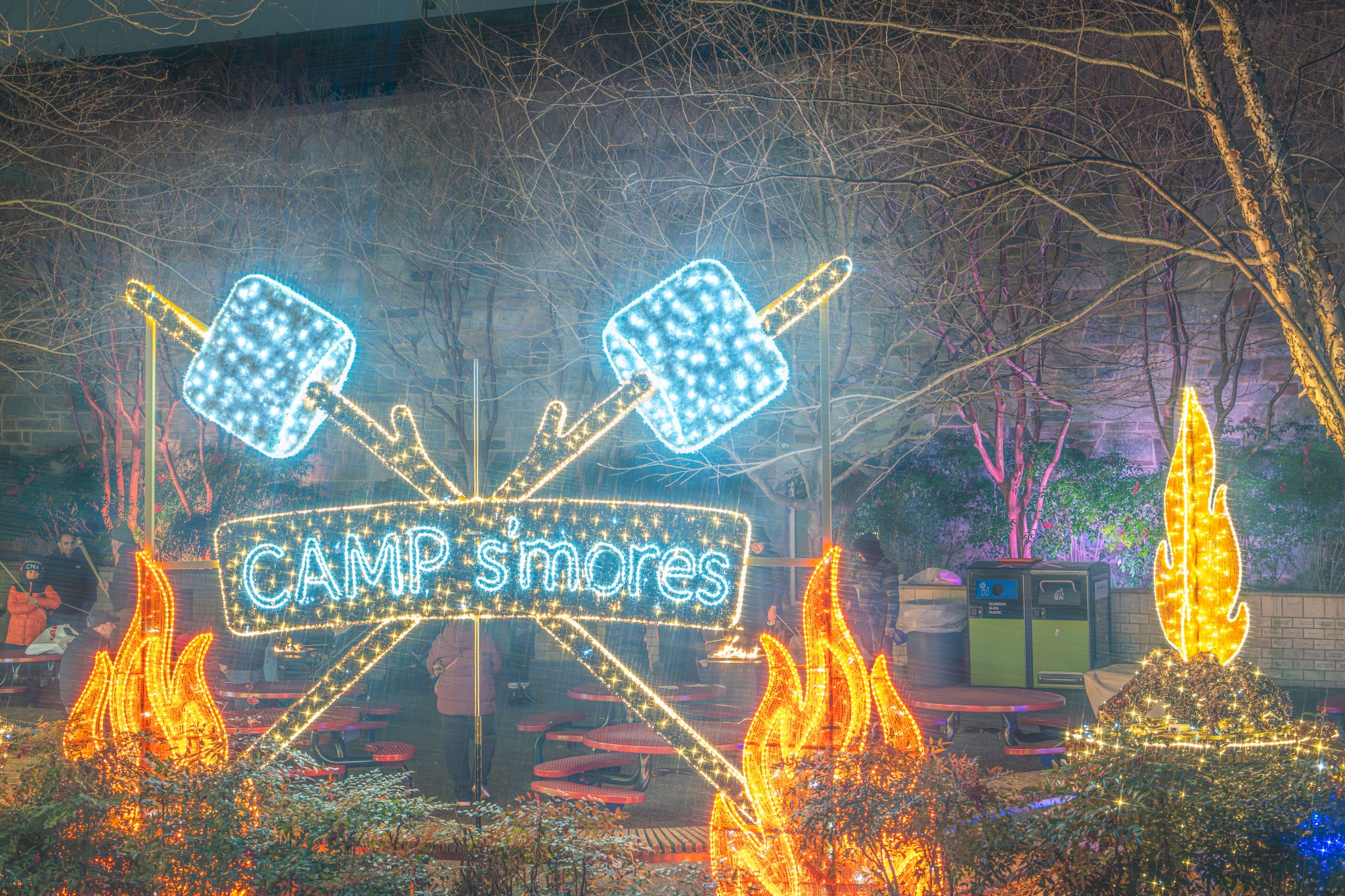 Smithsonian after dark: Zoo Lights edition – The District Pix